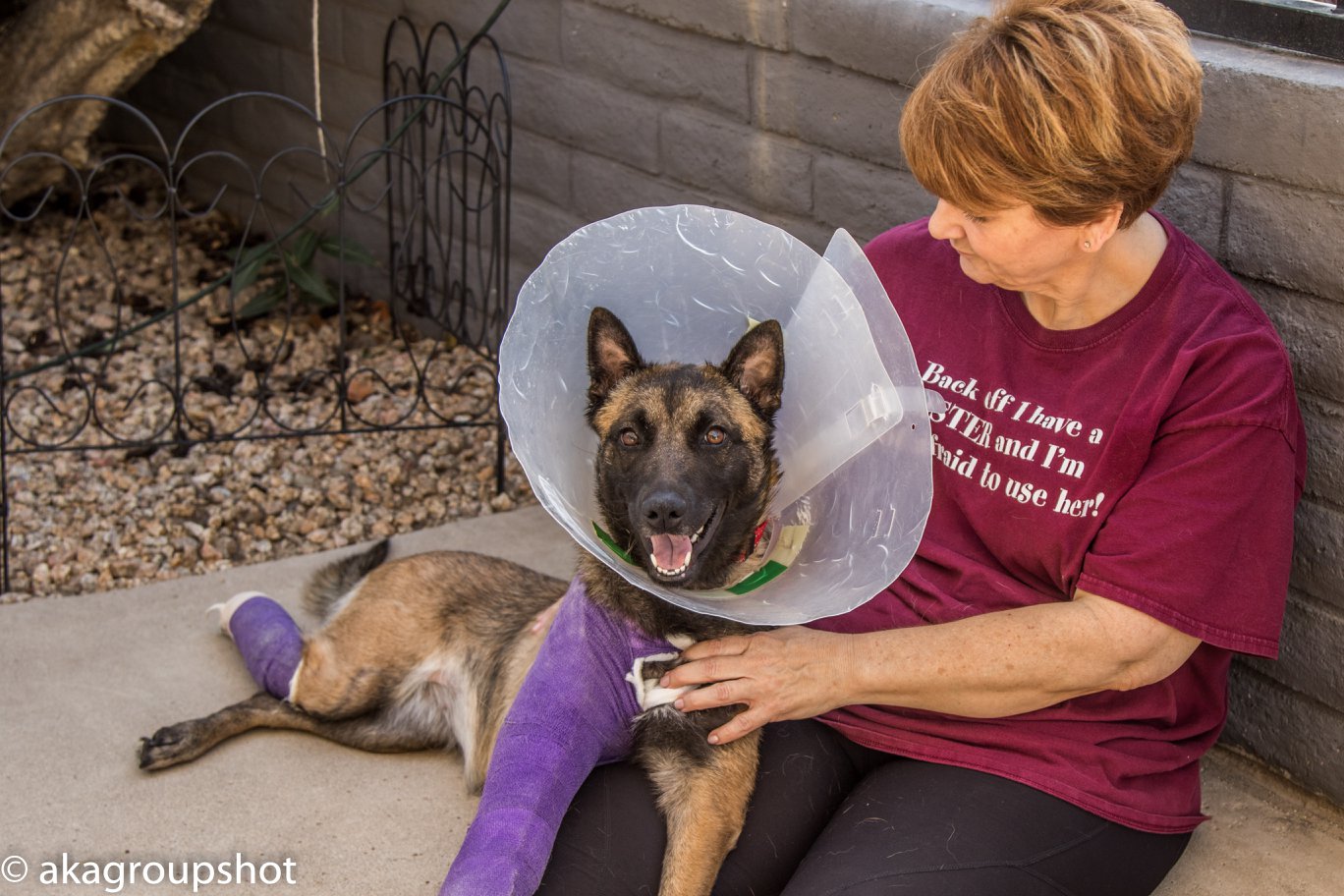Volunteer - Saving Paws Rescue Arizona