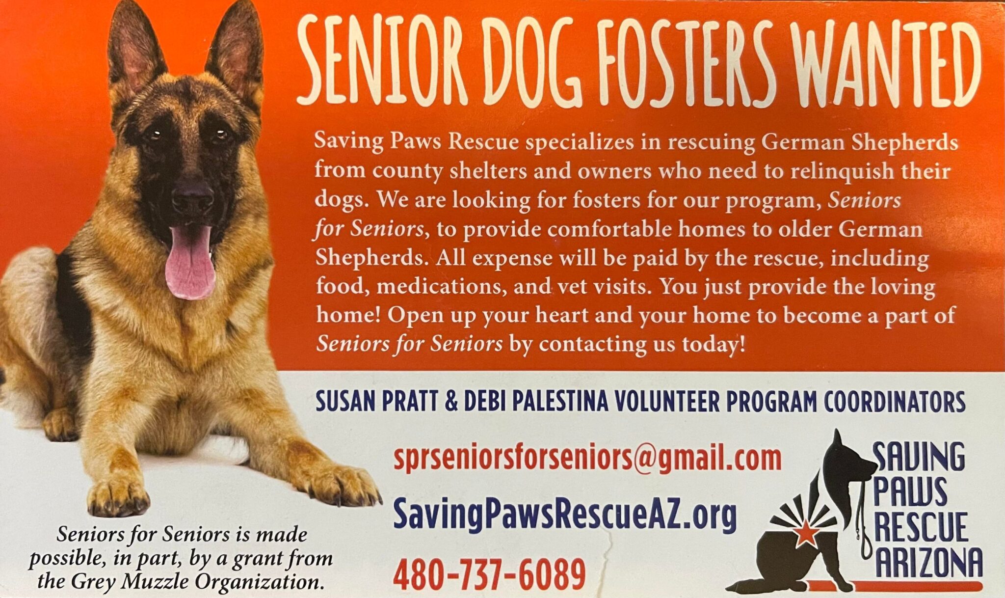 Home - Saving Paws Rescue Arizona