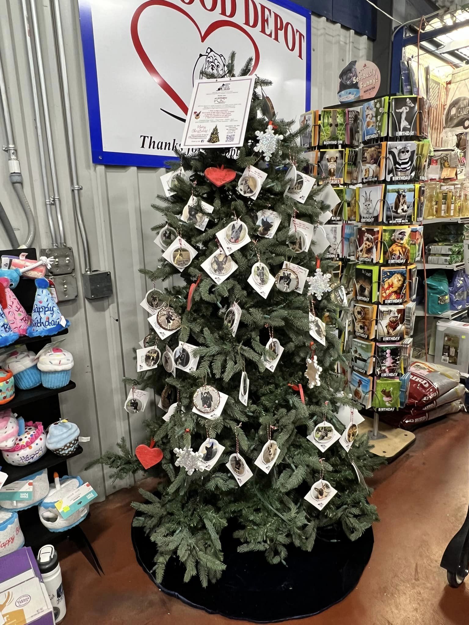 Home - Saving Paws Rescue Arizona