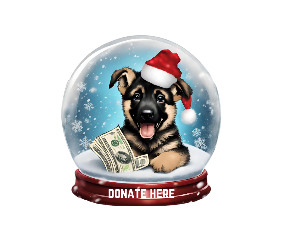 Home - Saving Paws Rescue Arizona