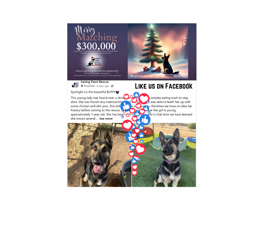 Home - Saving Paws Rescue Arizona