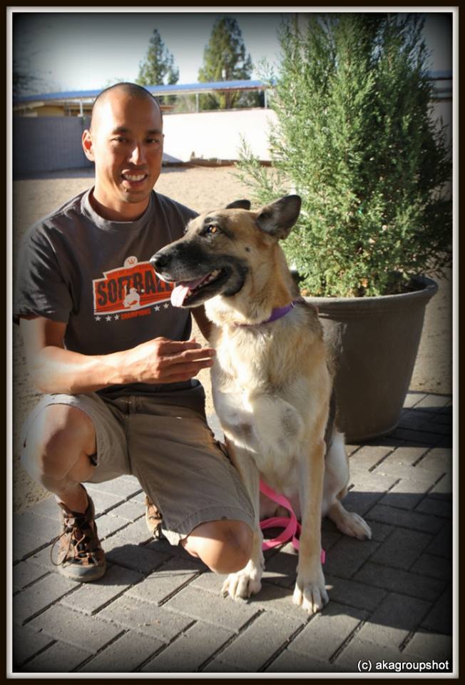 Home - Saving Paws Rescue Arizona