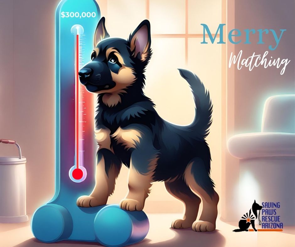 Home - Saving Paws Rescue Arizona