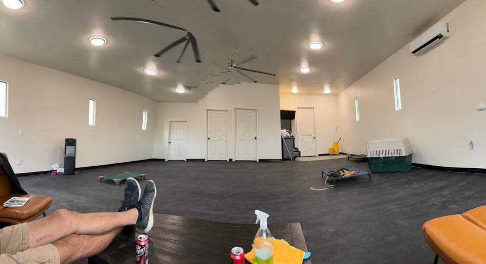 Home - Saving Paws Rescue Arizona