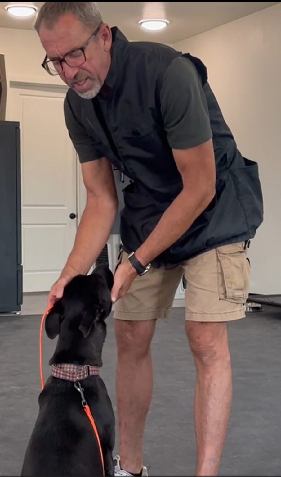 Home - Saving Paws Rescue Arizona