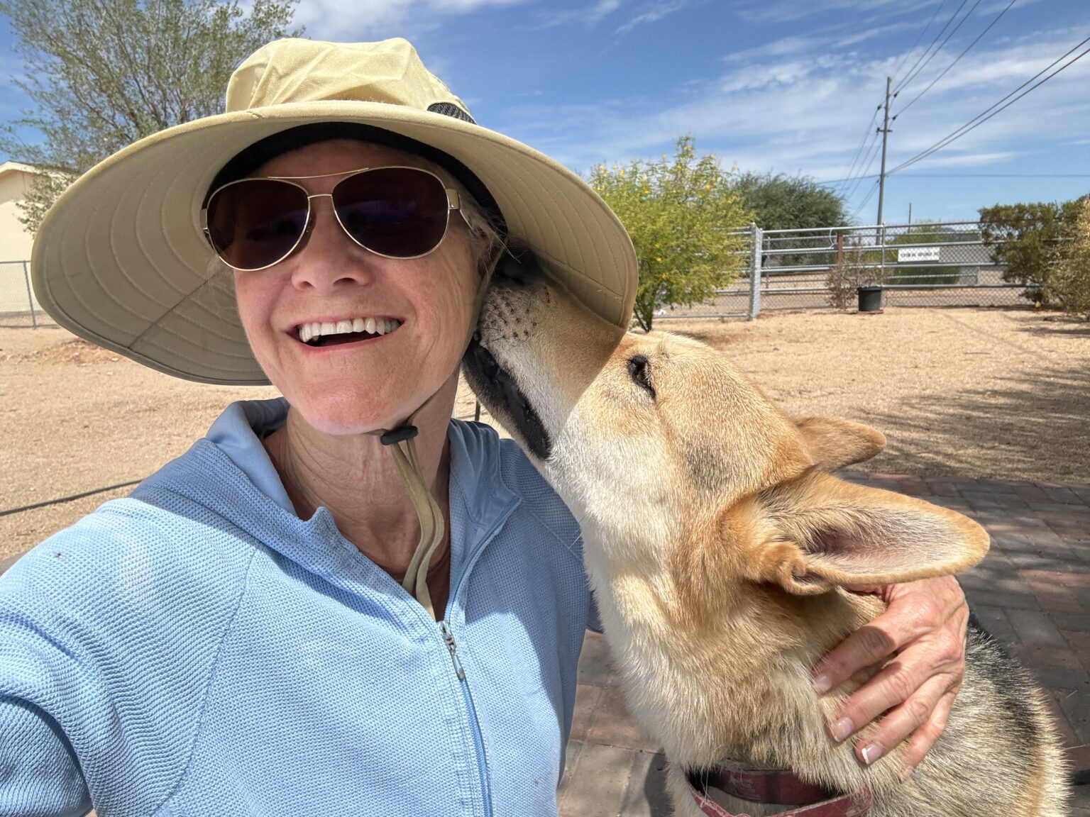 Home - Saving Paws Rescue Arizona